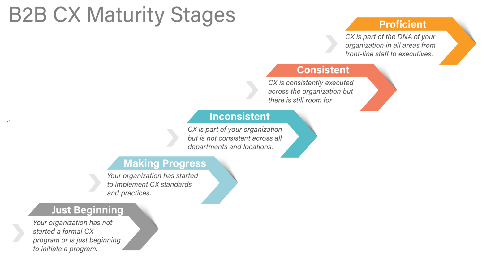 B2B Customer Experience Maturity Assessment - The Daniel Group